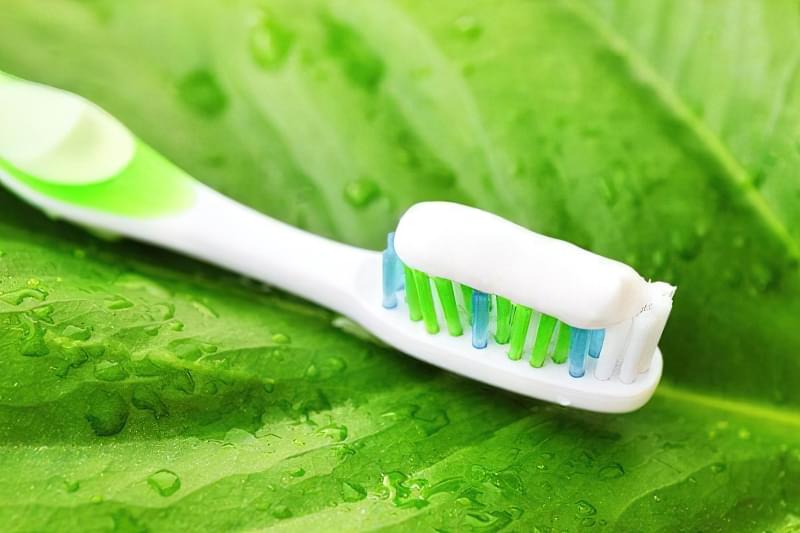 Застосування зубної пасти для захисту капусти